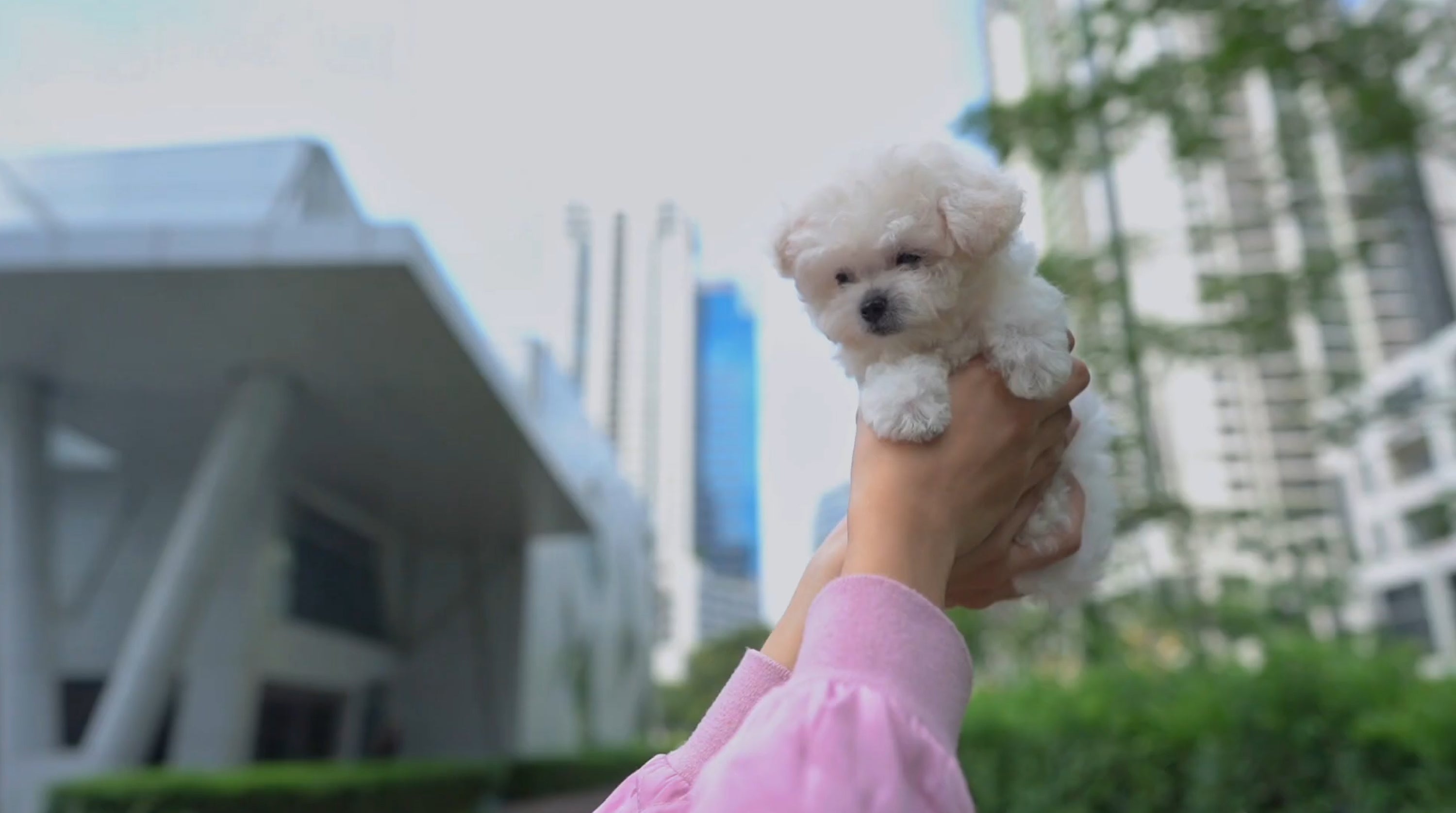 Pretty Bubble Boutique | Shop Now!