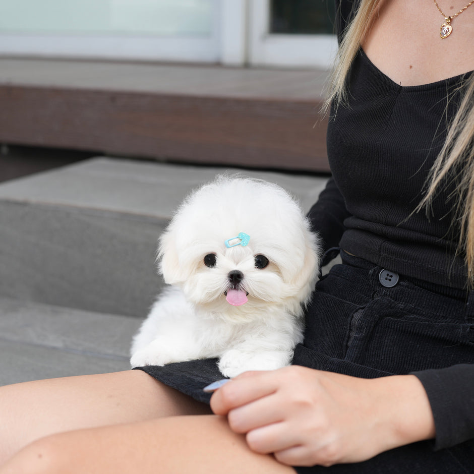 Pretty Bubble Boutique | Shop Now!