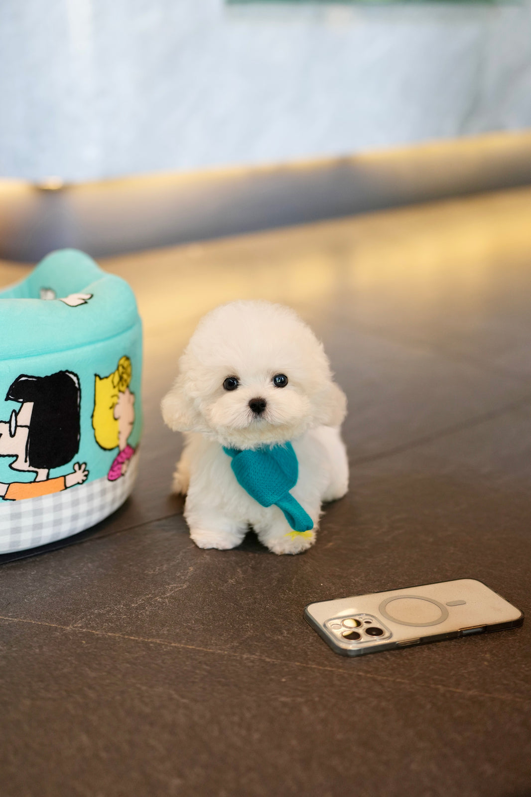 Pretty Bubble Boutique | Shop Now!