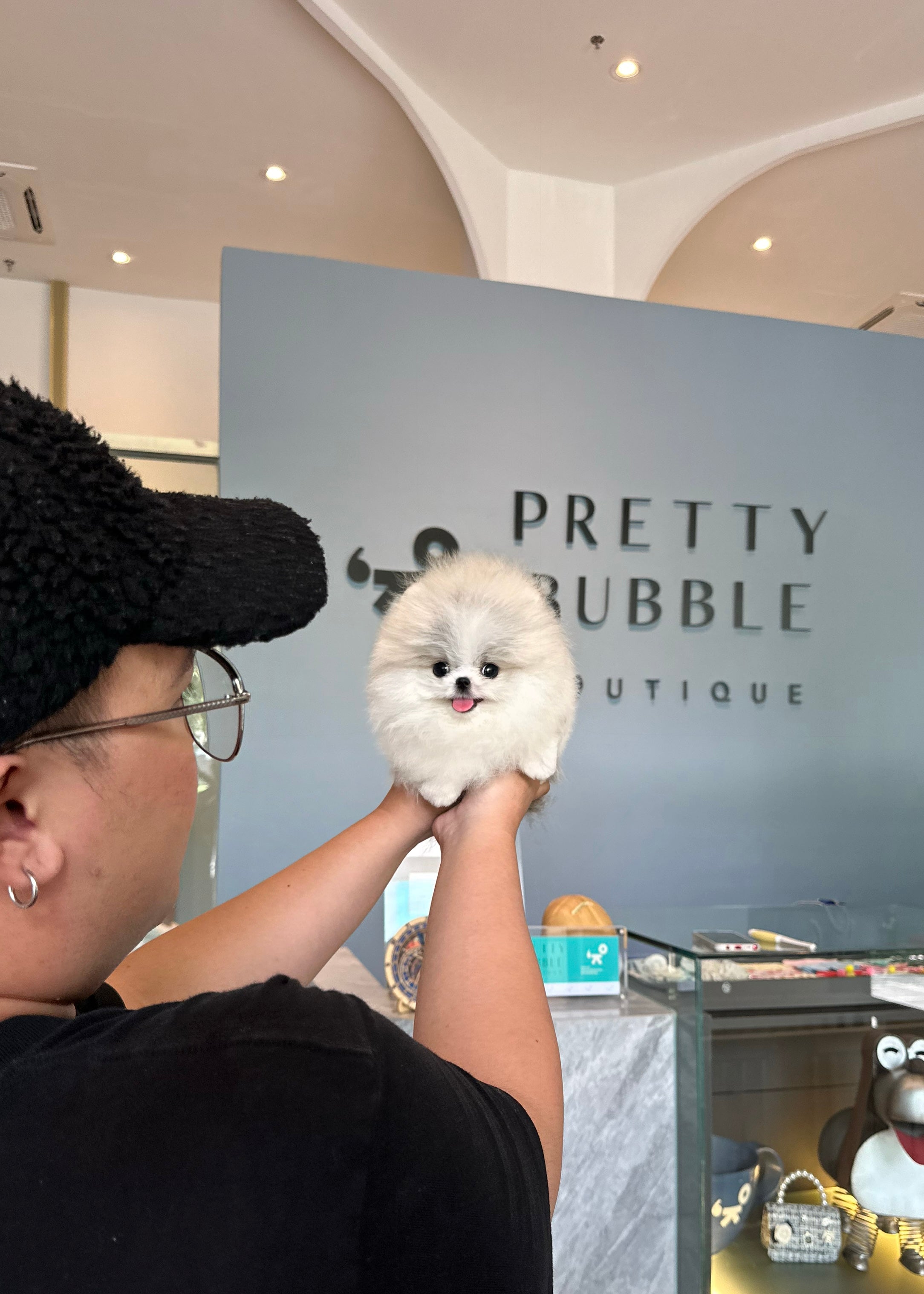 Puppy Gallery – Pretty Bubble Boutique
